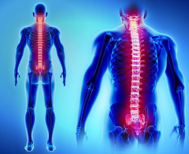Coluna Vertebral: Entenda toda a sua estrutura! - ITC Vertebral