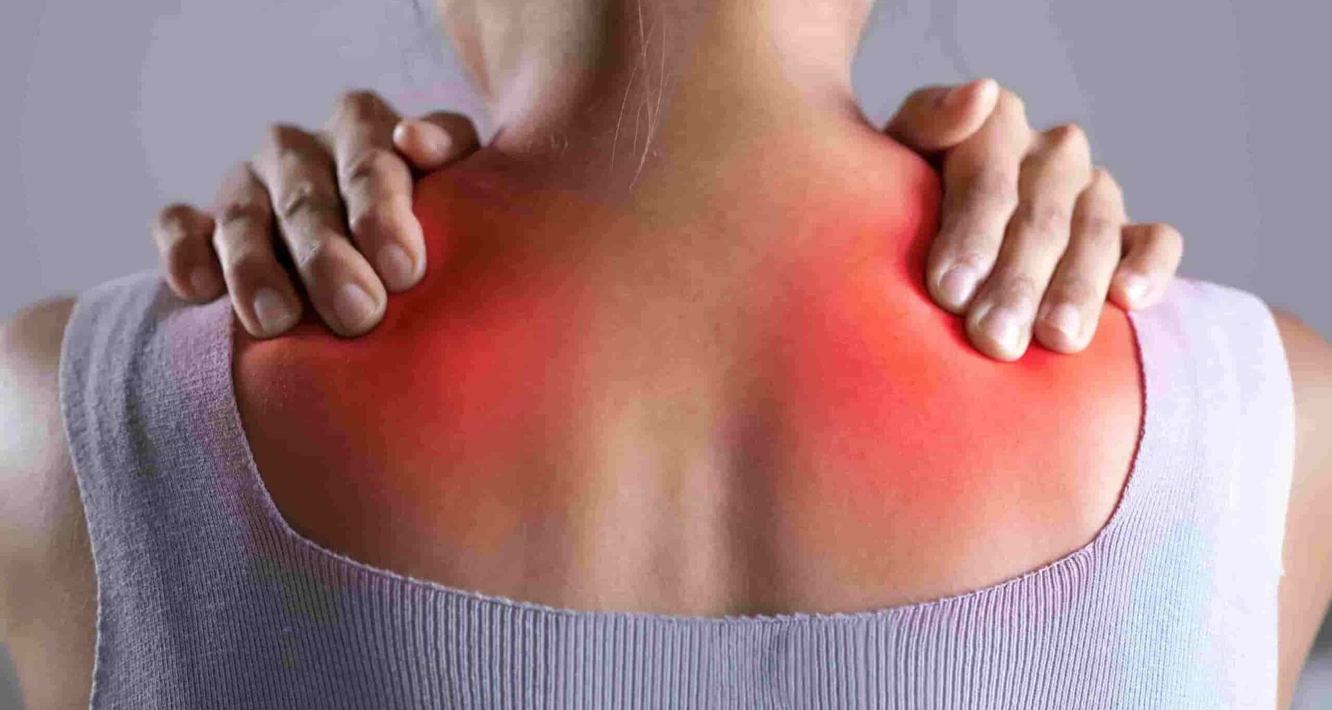 O que é a Escapula? - ITC Vertebral