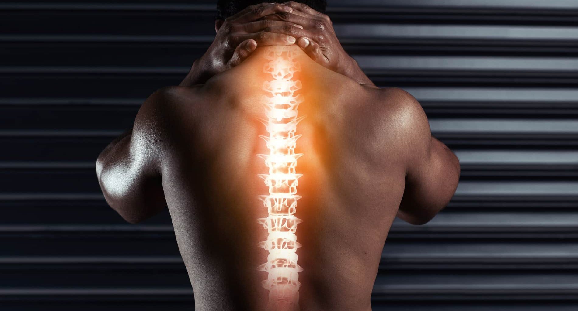 Conhecendo a sua Coluna - ITC Vertebral